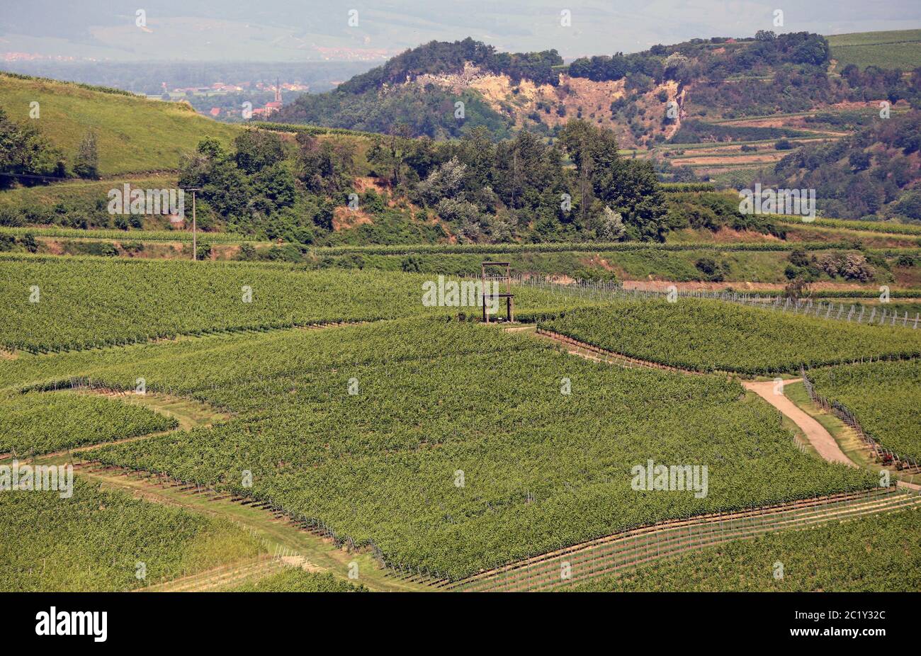 Leiselheim hi-res stock photography and images - Alamy