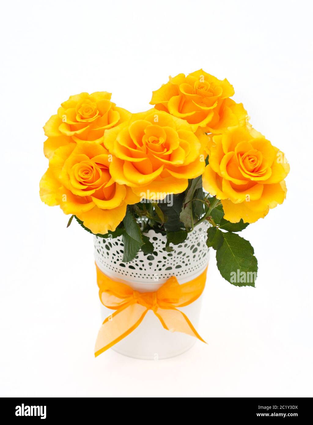 Yellow roses Cut Out Stock Images & Pictures - Alamy
