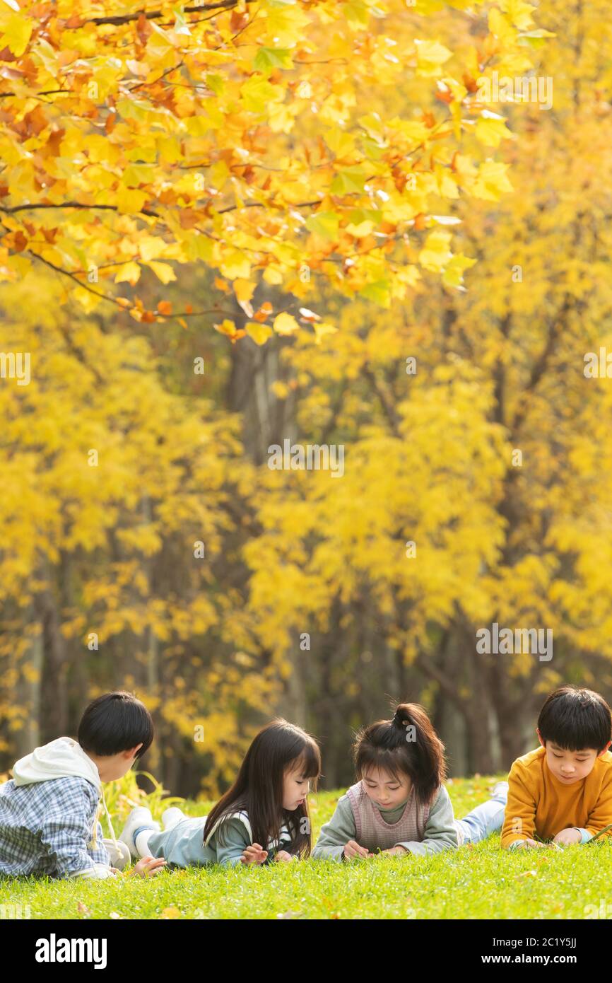 Lovely children playing on the grass Stock Photo - Alamy