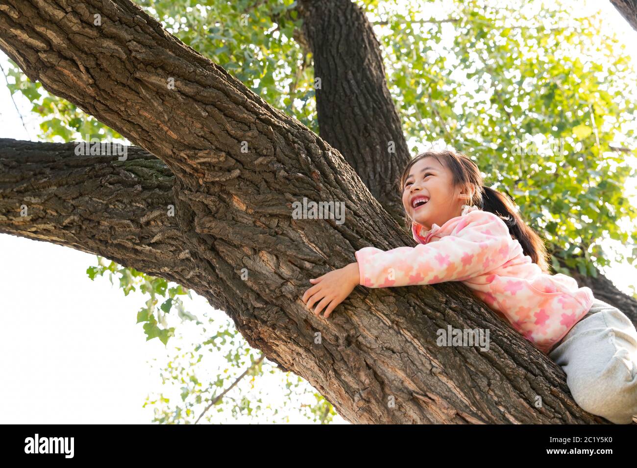 Girls tree hi-res stock photography and images - Alamy