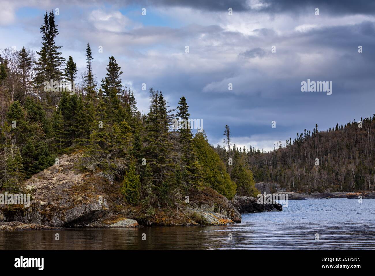 Canada plant trees hi-res stock photography and images - Alamy