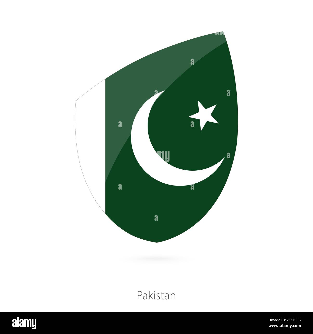 Flag of Pakistan. Vector Illustration Stock Vector Image & Art - Alamy