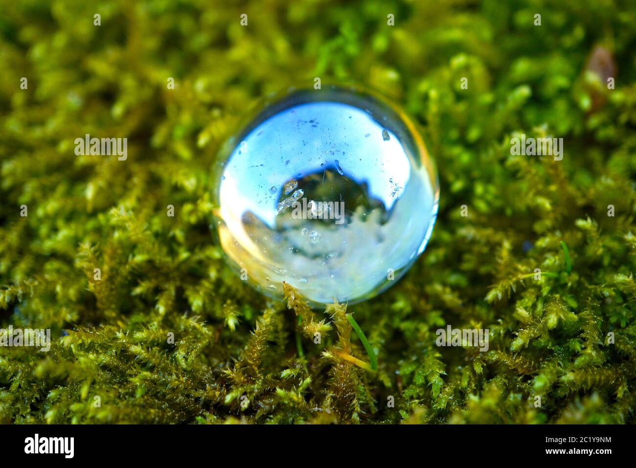 Decorative drops hi-res stock photography and images - Alamy