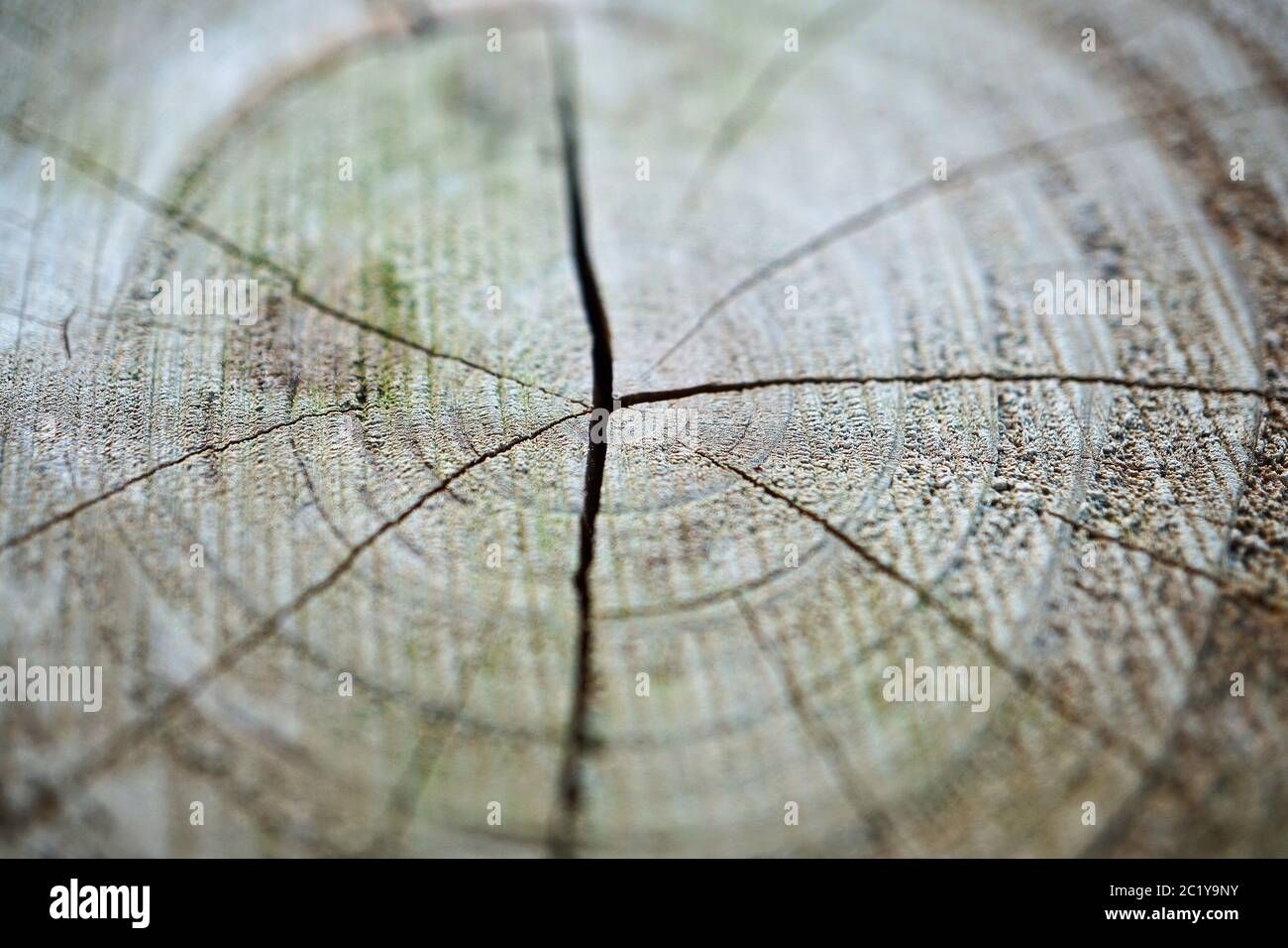 Surface texture pattern hi-res stock photography and images - Alamy