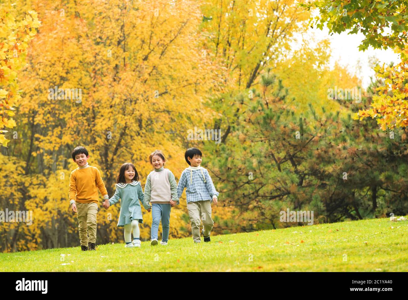 Happy children hand in hand walk in the park Stock Photo - Alamy
