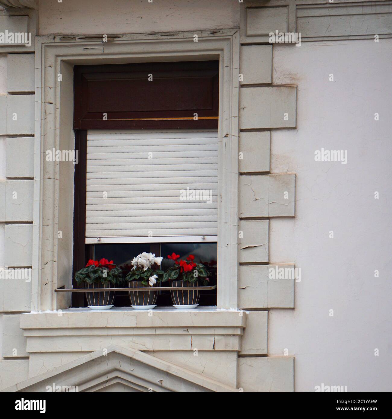 window in the white house Stock Photo - Alamy