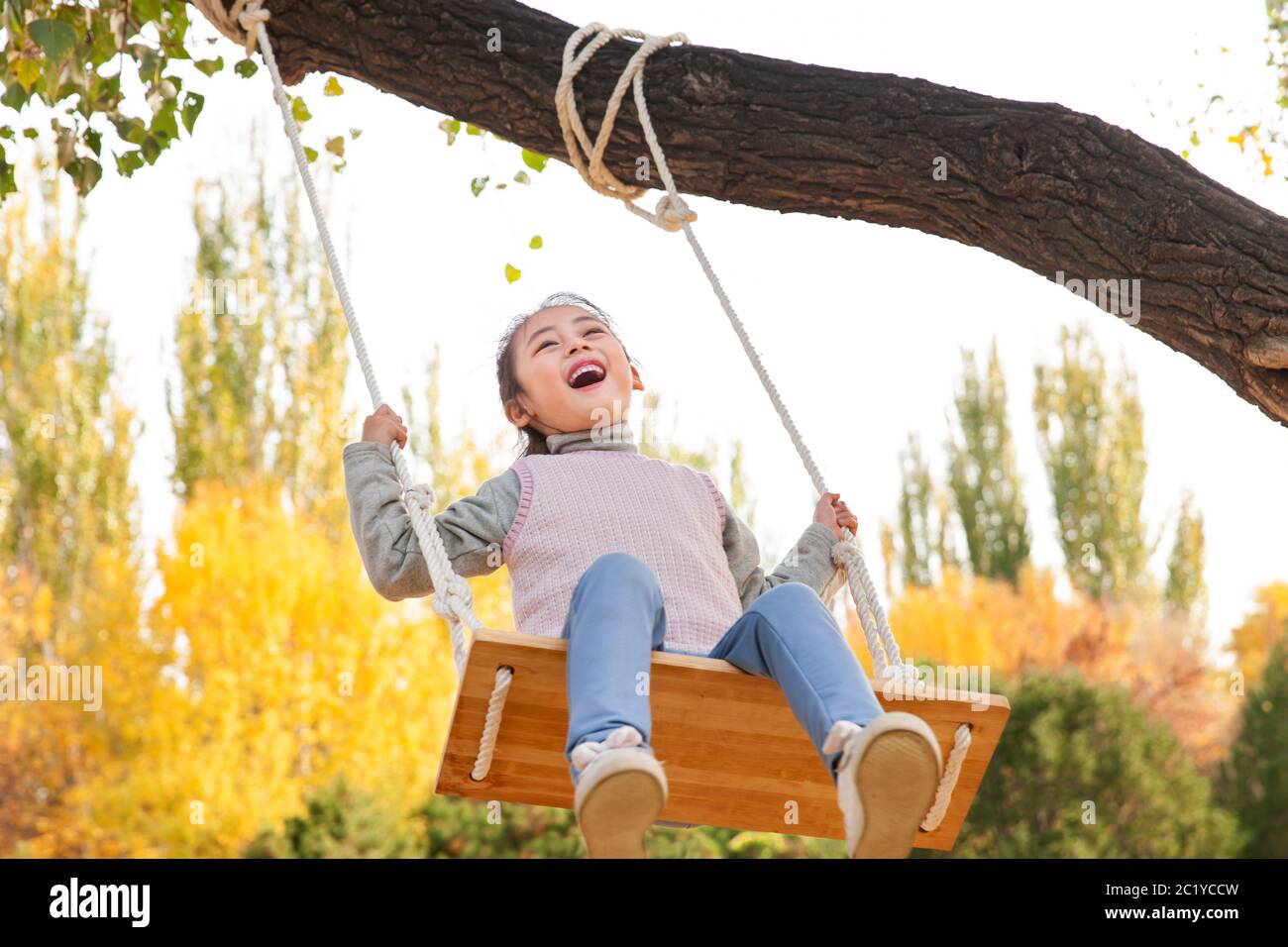 Chinese Swings High Resolution Stock Photography and Images - Alamy