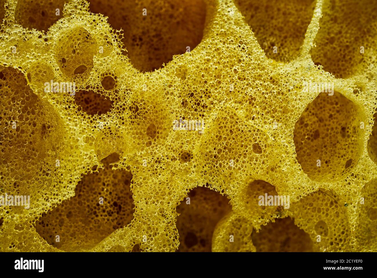 Abstract yellow round shapes. Macro image Stock Photo - Alamy