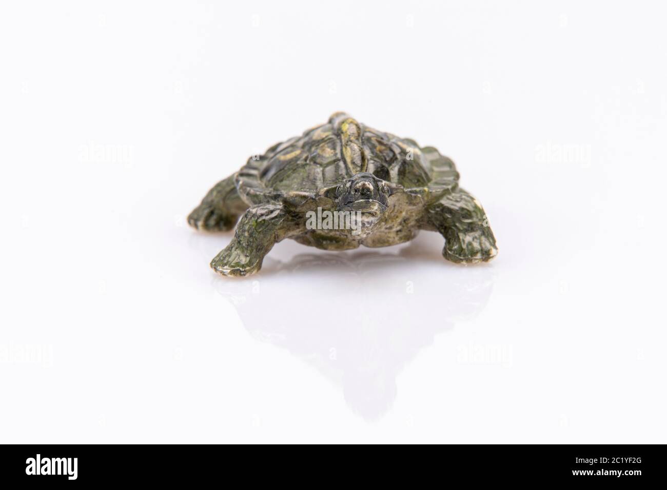 Green shell tortoise illustration hi-res stock photography and images ...