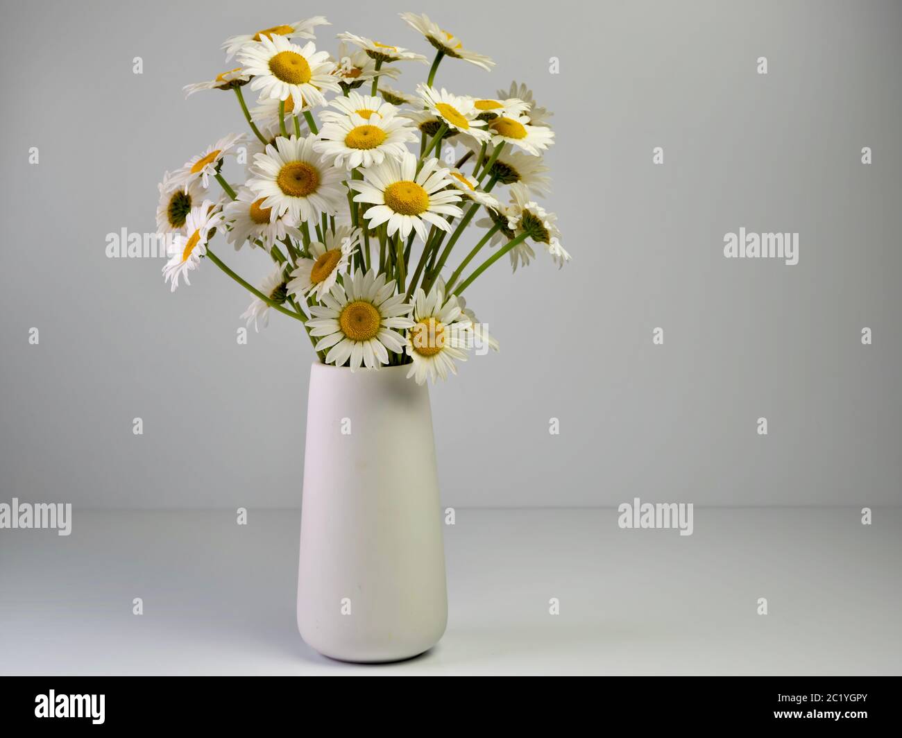 Ceramic white case full of white and yellow fresh cut daisy flowers on ...