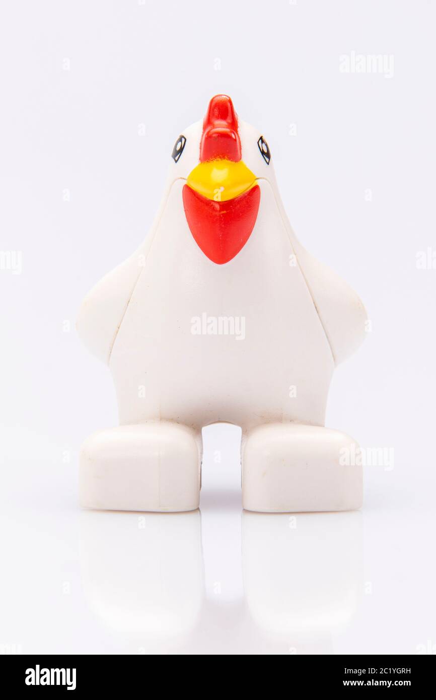 close up of a plastic toy hen isolated on a white background Stock ...