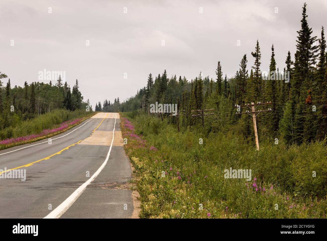 The Road of the Alaska Highway Stock Photo - Alamy
