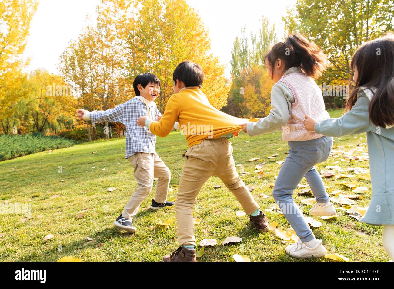 Eagle catches chicken hi-res stock photography and images - Alamy