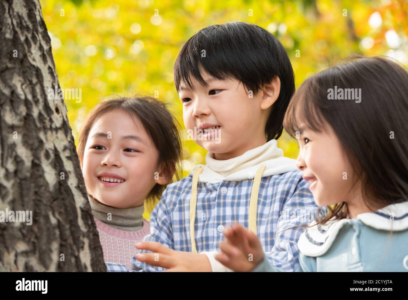 Children observe park hi-res stock photography and images - Alamy