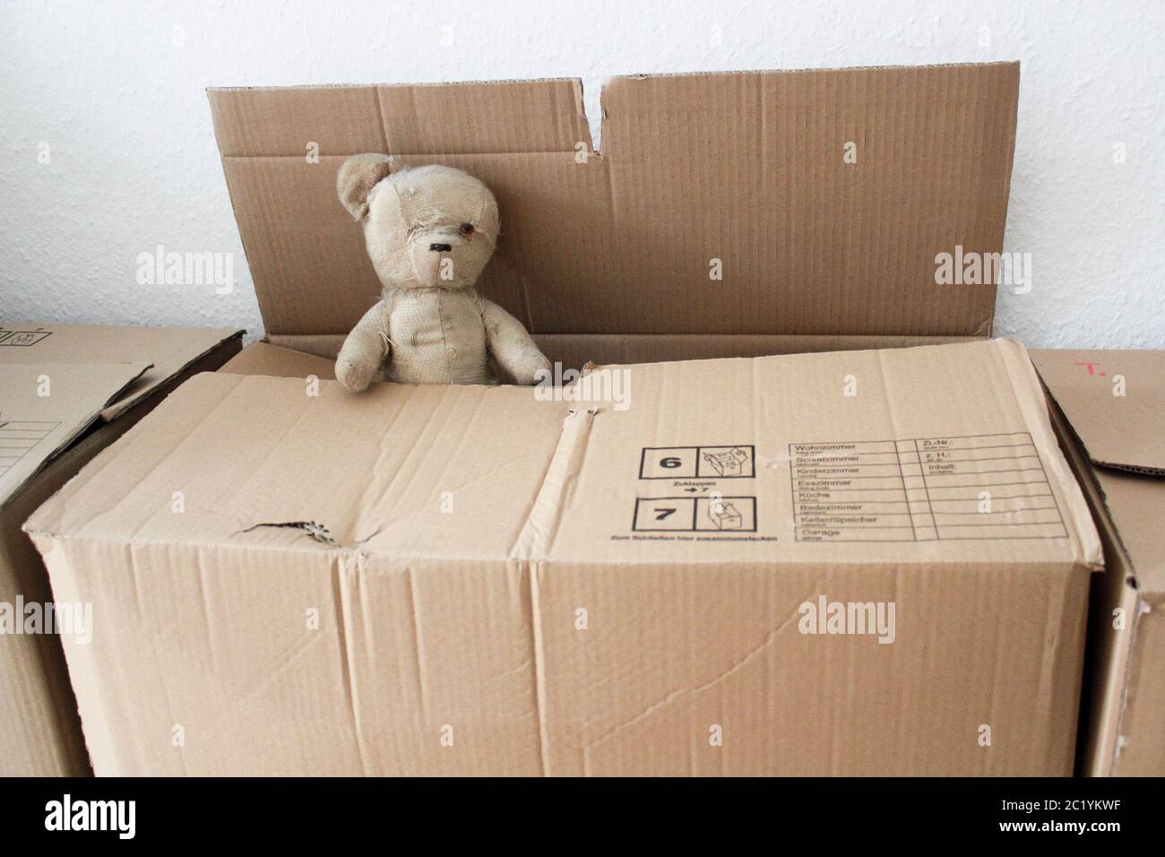 Moving box with teddy bear Stock Photo - Alamy