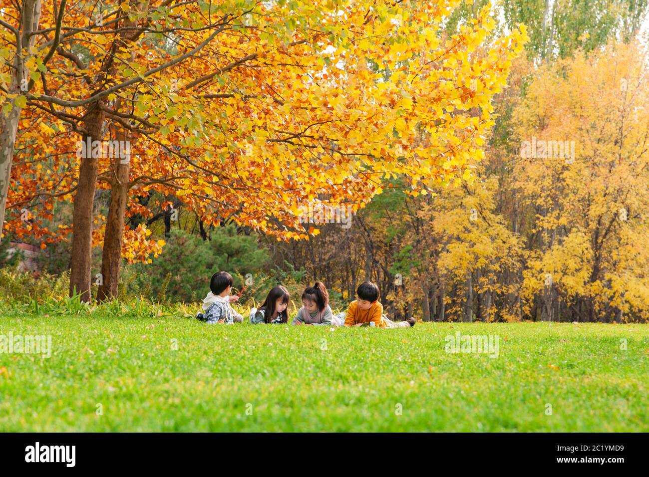 Lovely children playing on the grass Stock Photo - Alamy