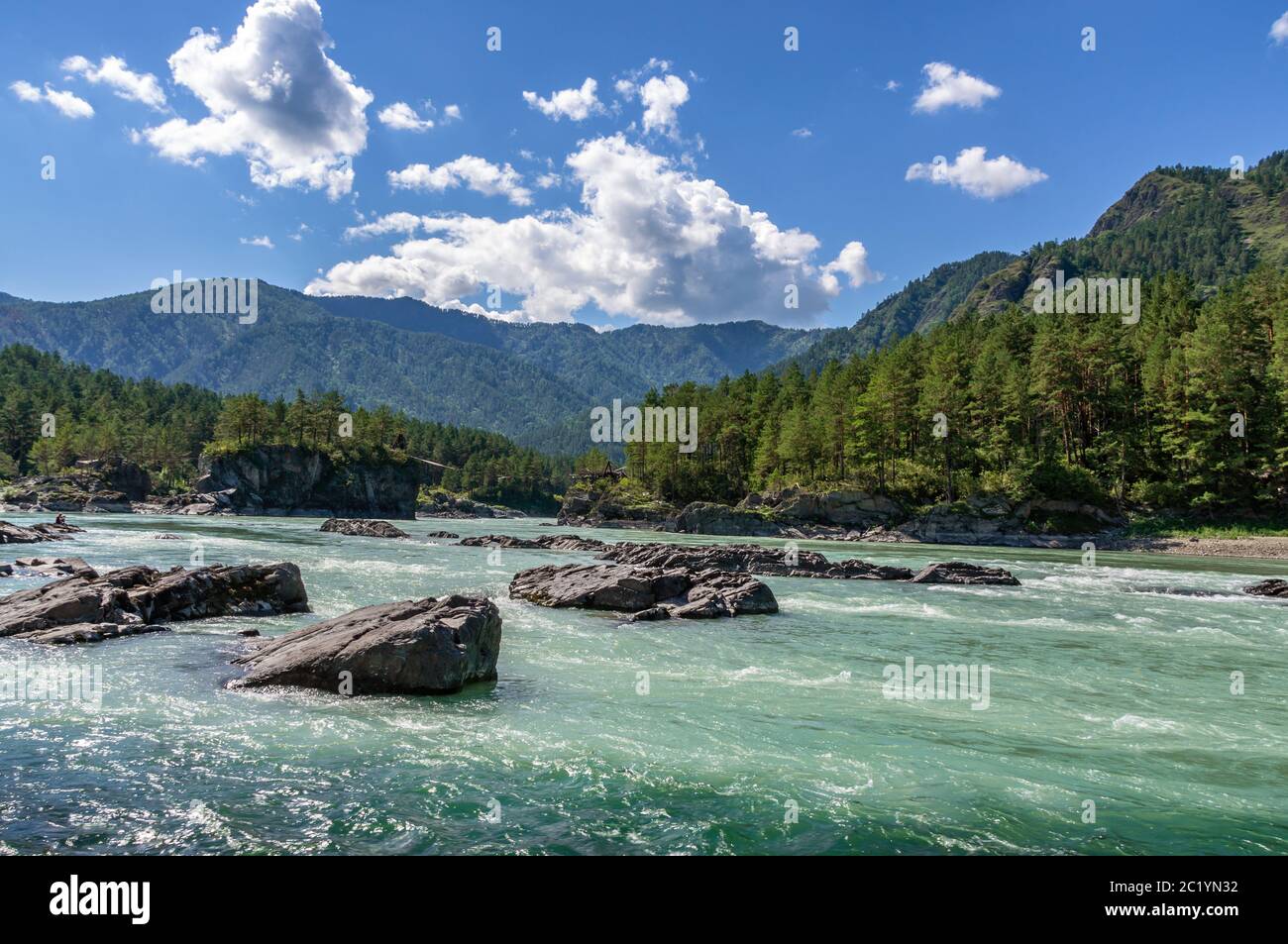 Katun river in Altai flows between the mountains covered with greenery ...