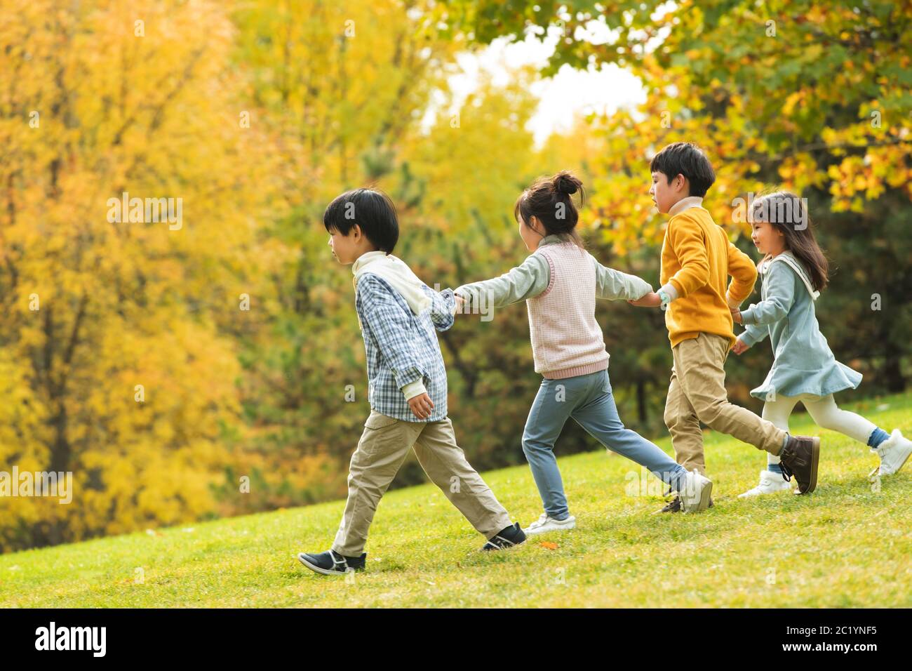 Happy children hand in hand walk in the park Stock Photo - Alamy
