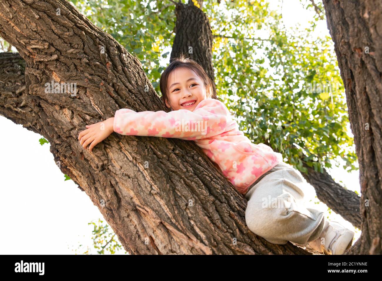 Girls tree hi-res stock photography and images - Alamy