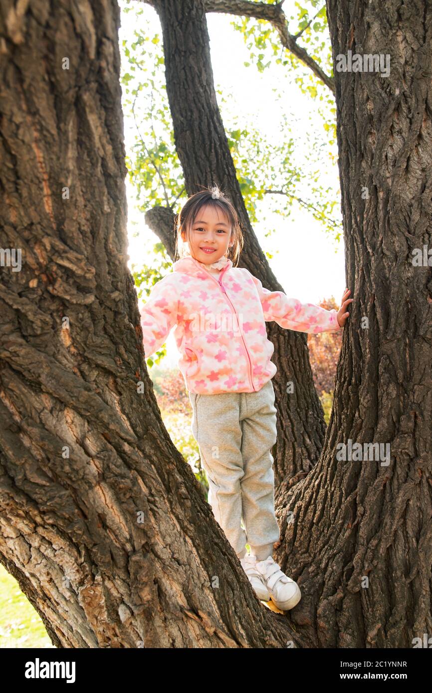 Happy girl on the tree Stock Photo - Alamy