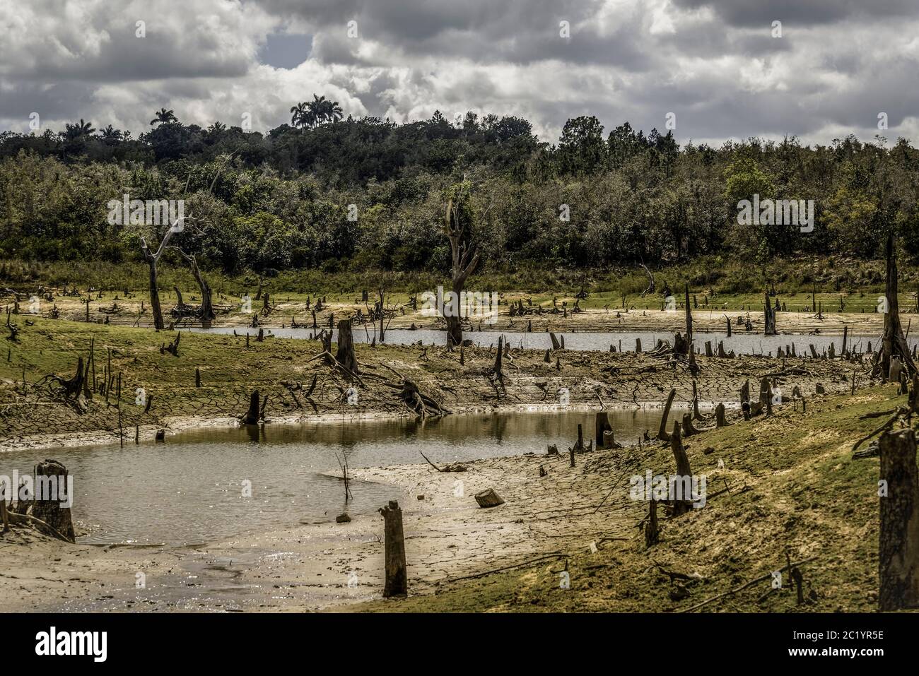 Lake with dead trees, Vinales Valley, Cuba Stock Photo - Alamy
