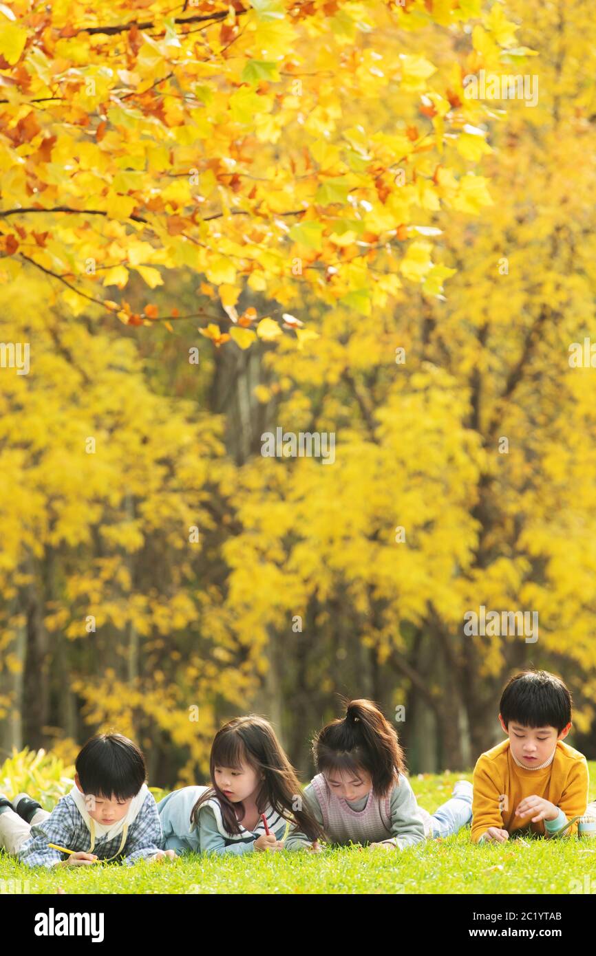 Lovely children playing on the grass Stock Photo - Alamy