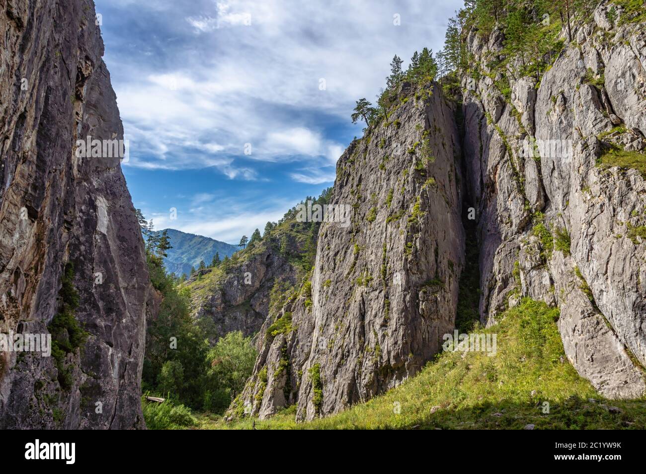 a narrow path between the mountains, covered with greenery Stock Photo ...