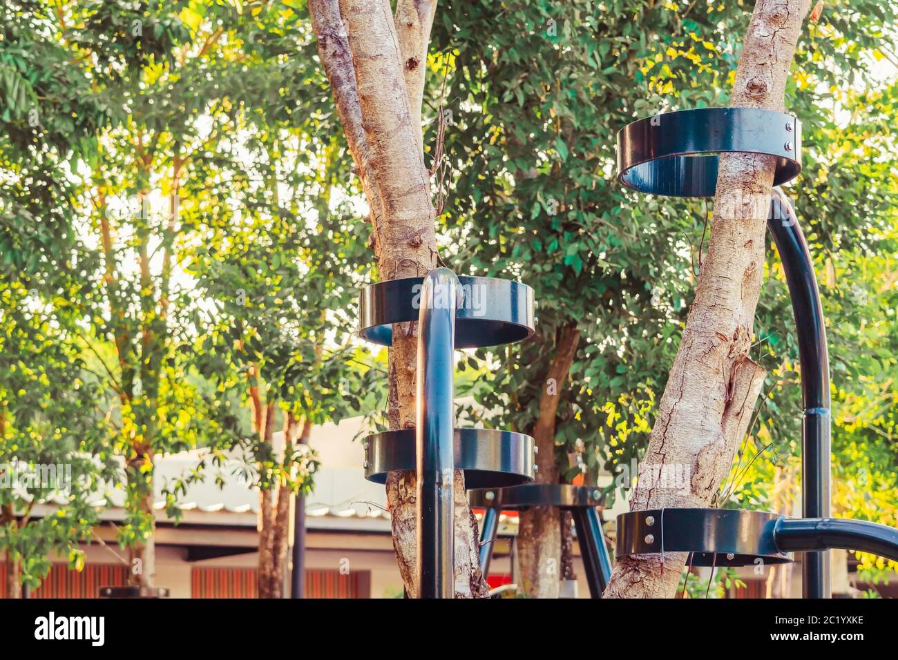 Black steel column supports and controls the branches and trunks of the ...