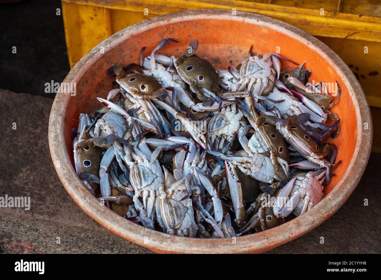 Fish market goa india hi-res stock photography and images - Alamy