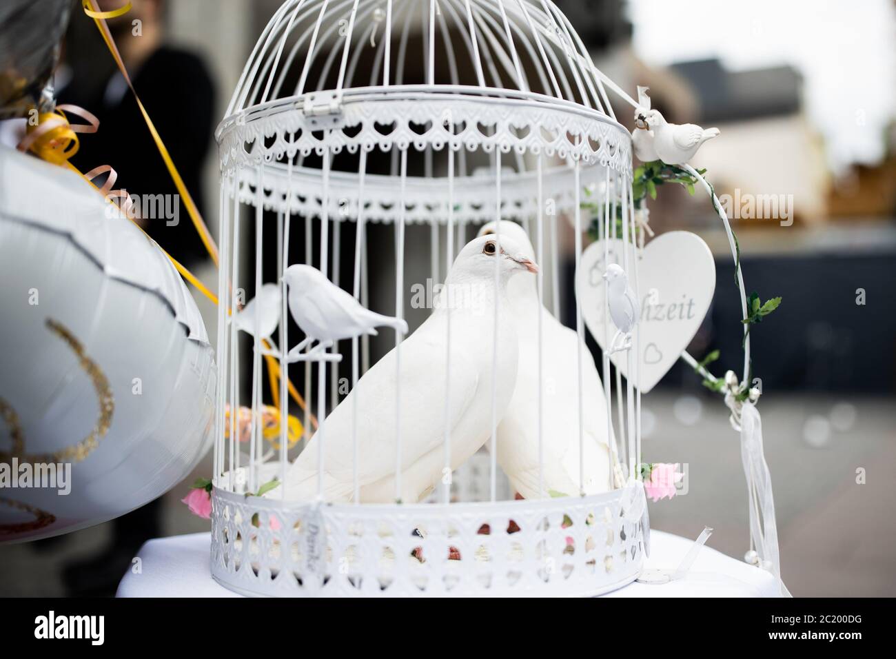 Doves with wedding rings hi-res stock photography and images - Alamy