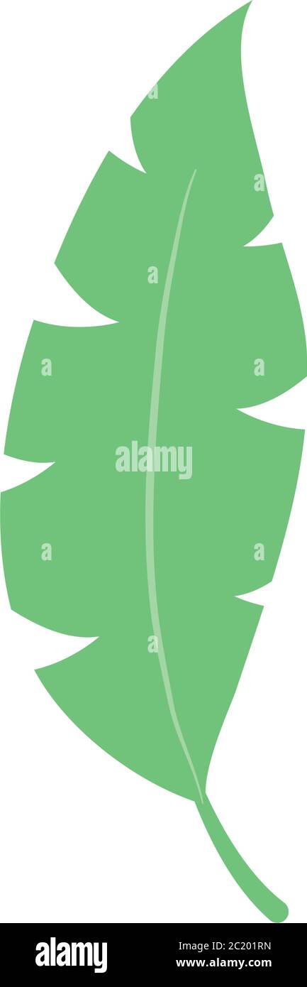 sago palm leaf icon over white background, flat style, vector ...