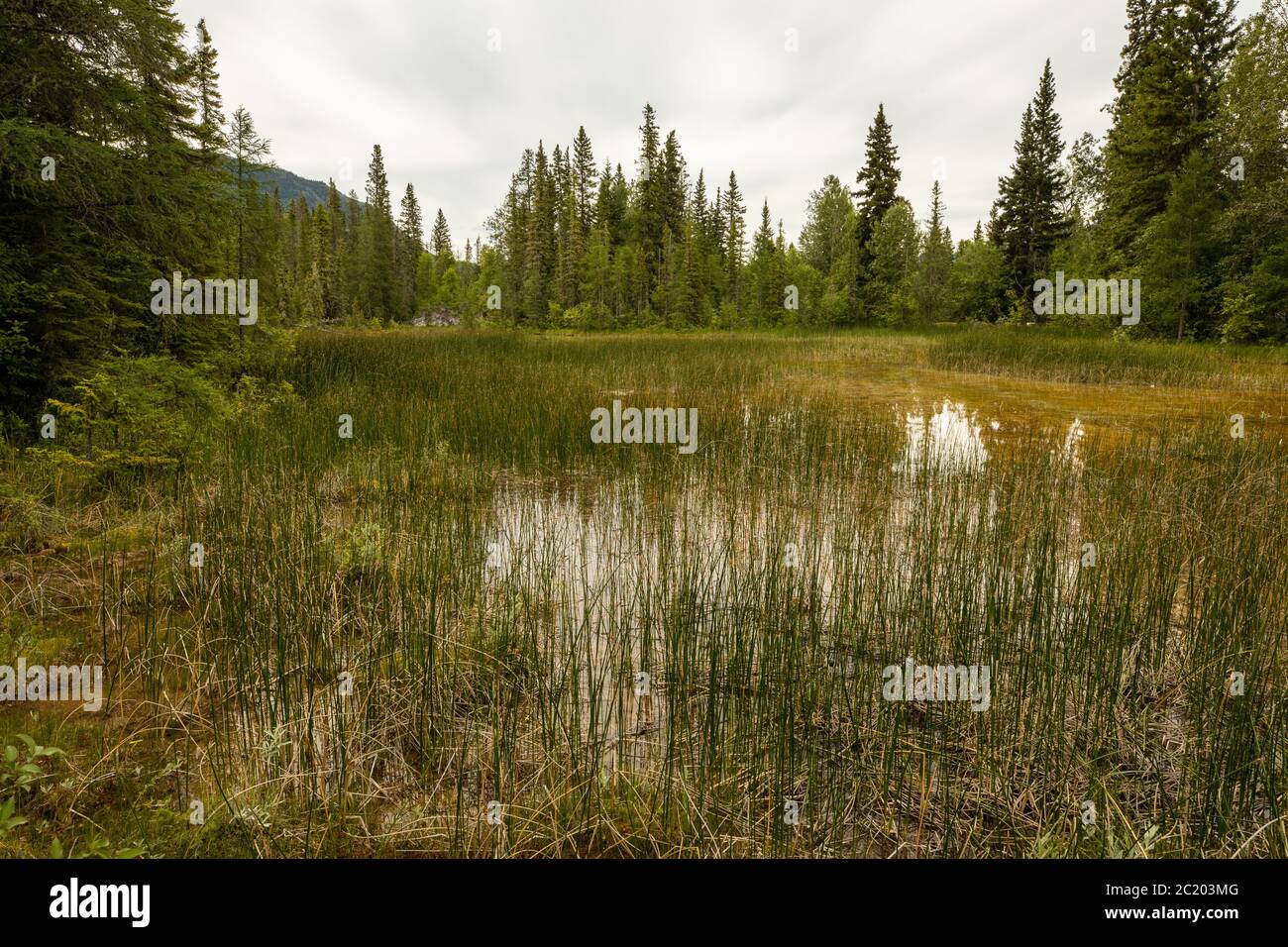 Liard river hot spring hi-res stock photography and images - Alamy