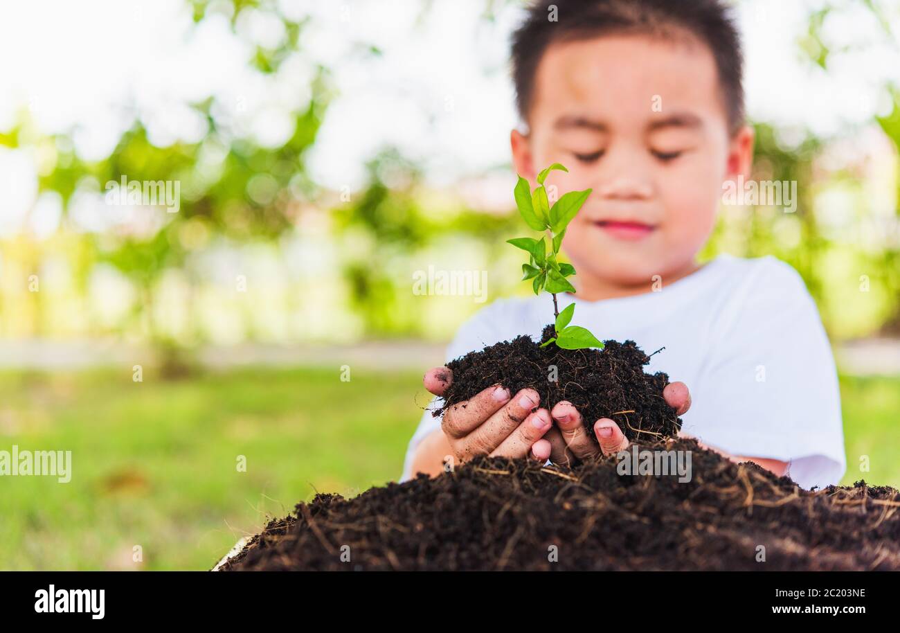 World Environment Day Environment Concept, Hand of Asian cute little ...