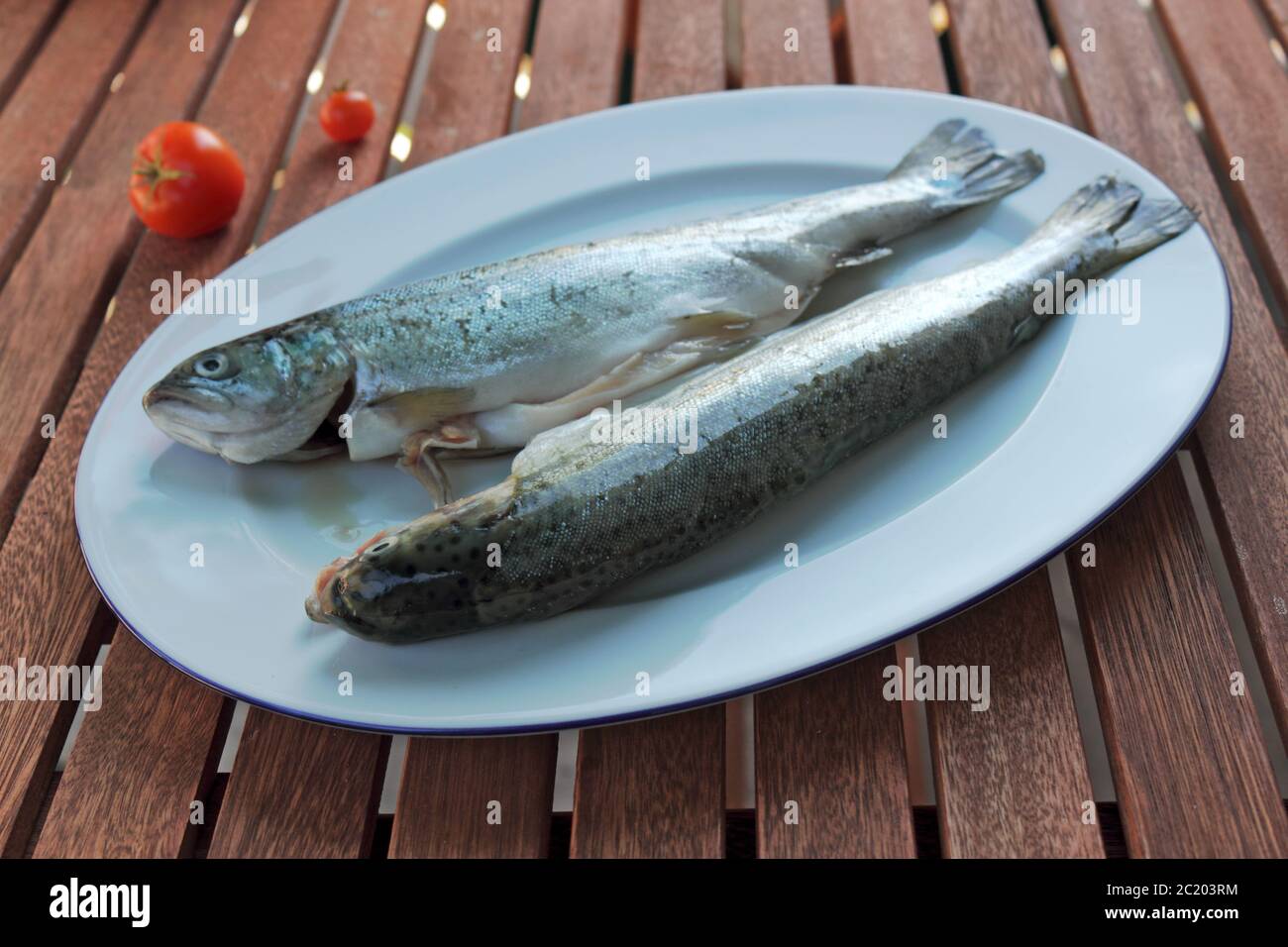 Forellen hi-res stock photography and images - Alamy