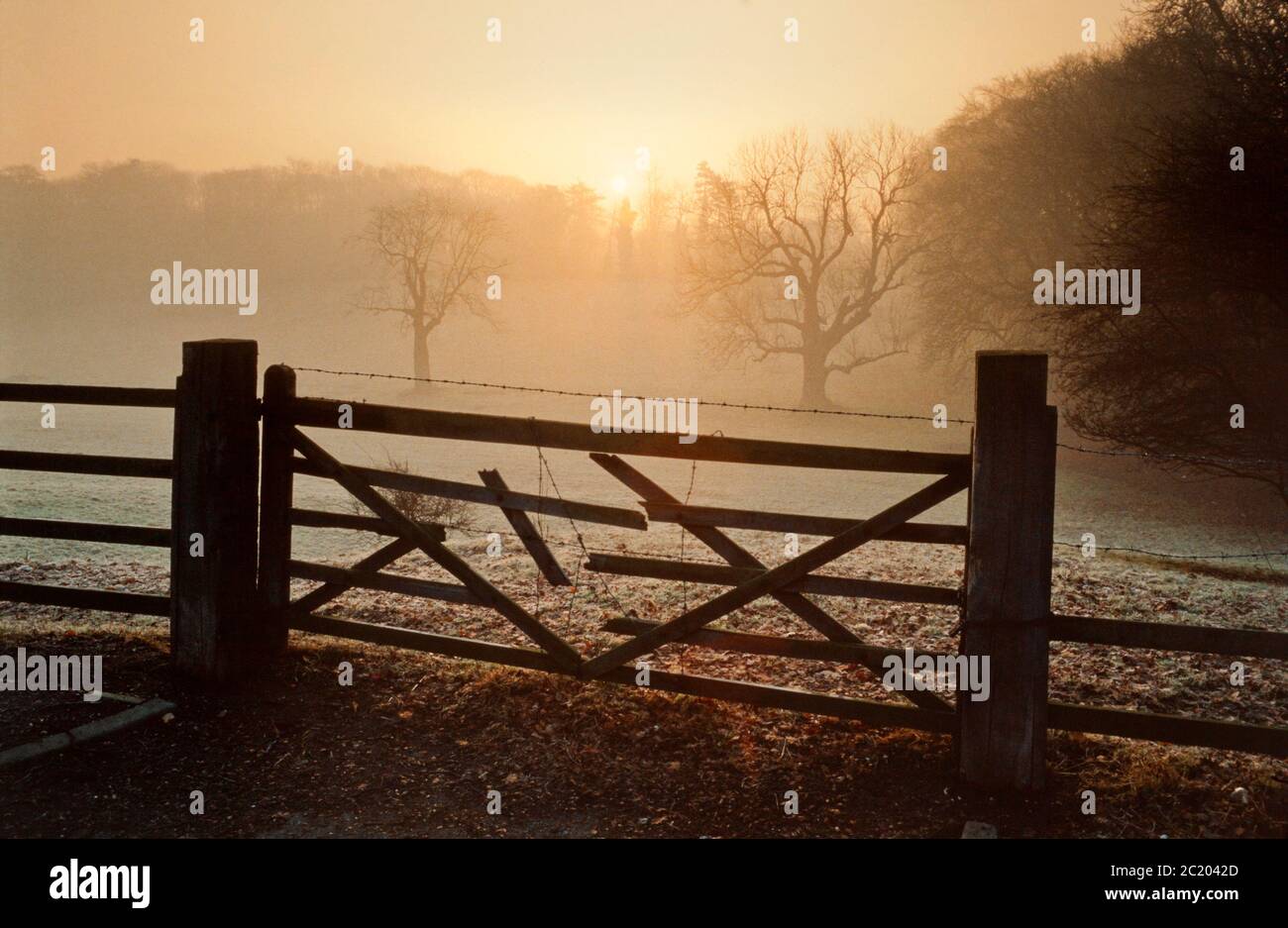 Broken gate hi-res stock photography and images - Alamy