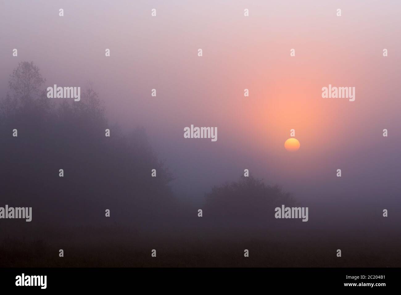 Early morning sun glowing through fog Stock Photo - Alamy