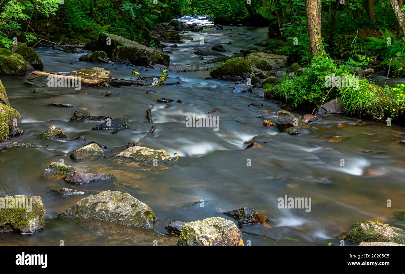 France normandy forest hi-res stock photography and images - Alamy