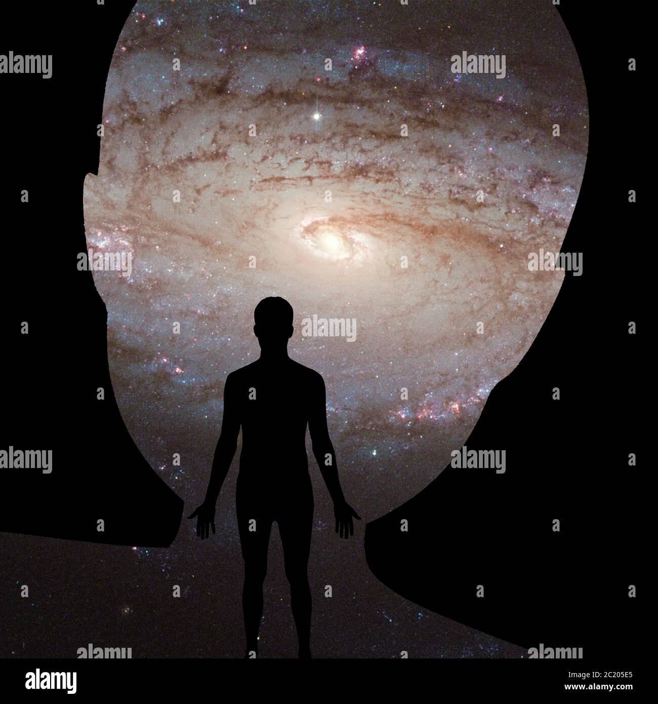 Walking Toward Cosmos High Resolution Stock Photography and Images - Alamy