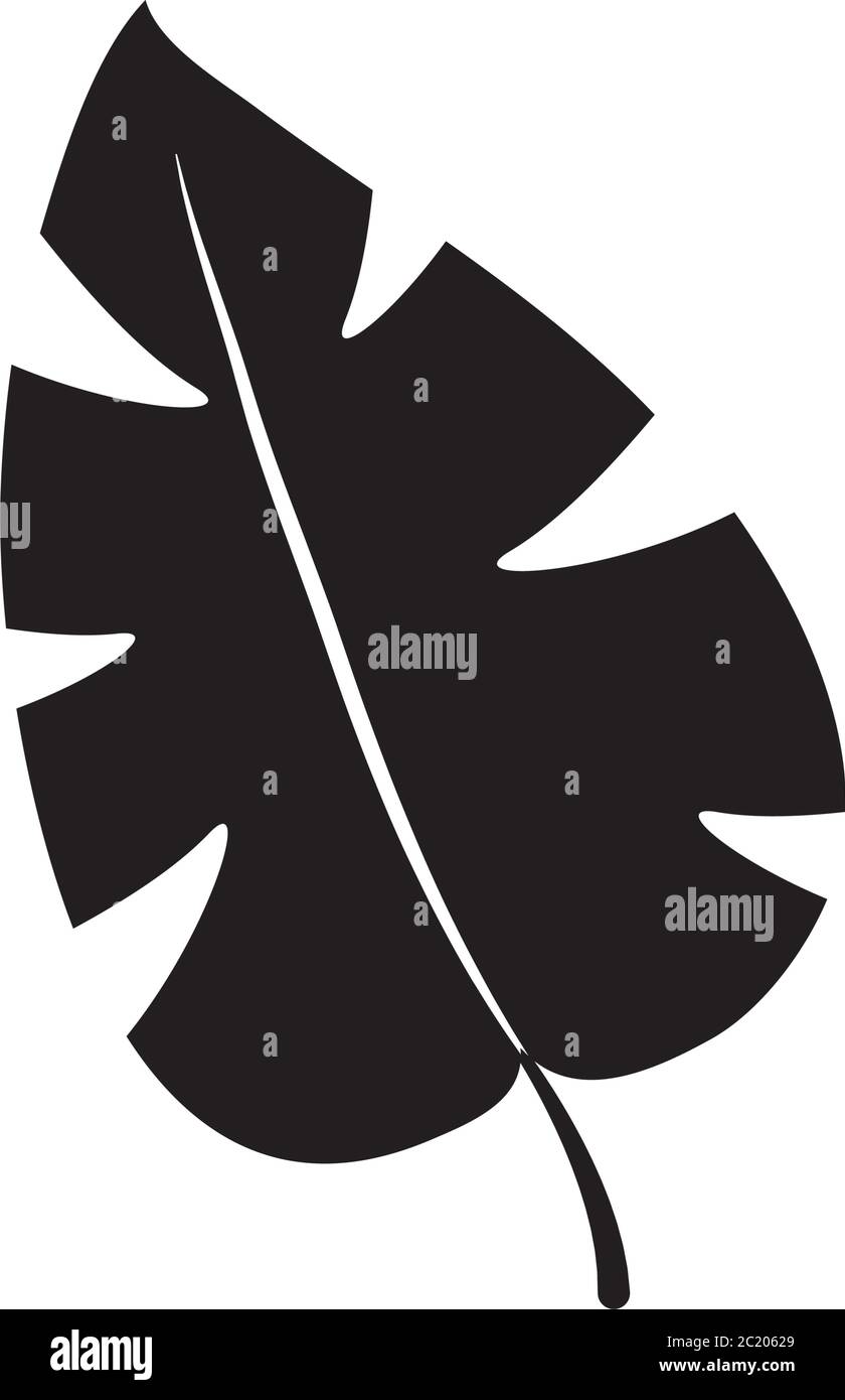 split tropical leaf icon over white background, silhouette style ...