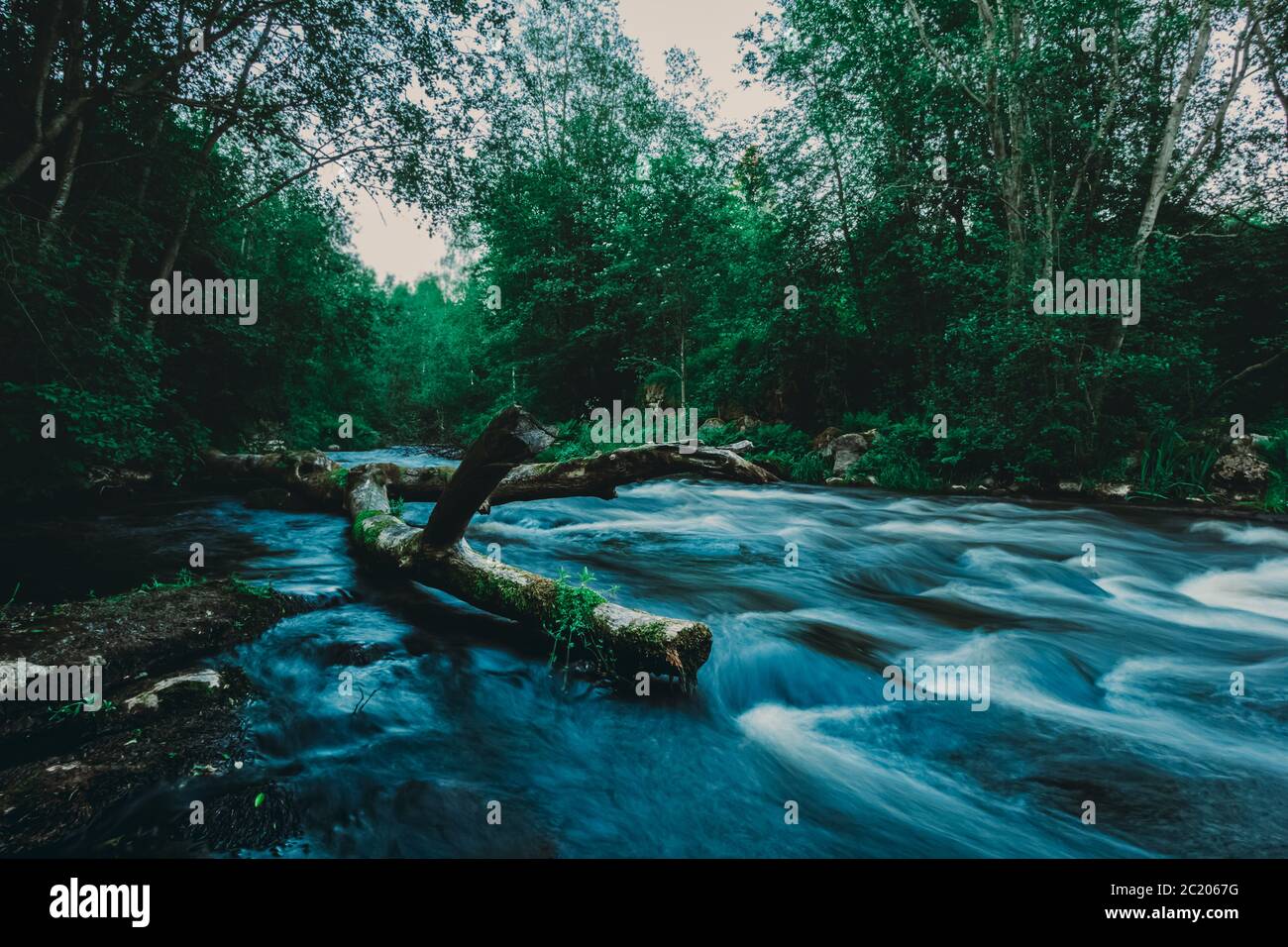 Great photo of a river with running water through a fallen broken tree ...