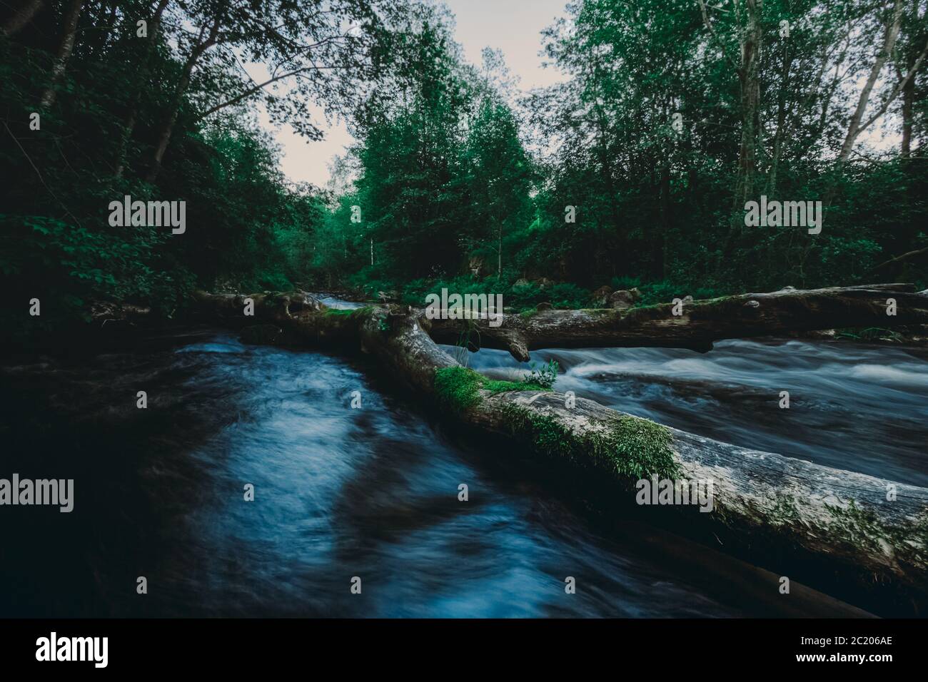 Great photo of a river with running water through a fallen broken tree ...
