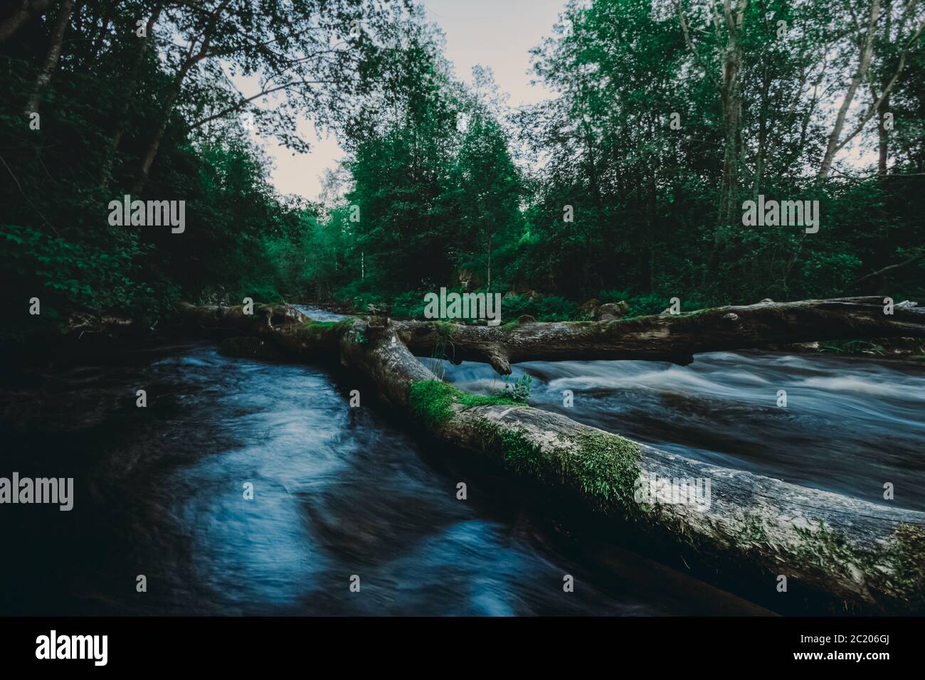 Great photo of a river with running water through a fallen broken tree ...