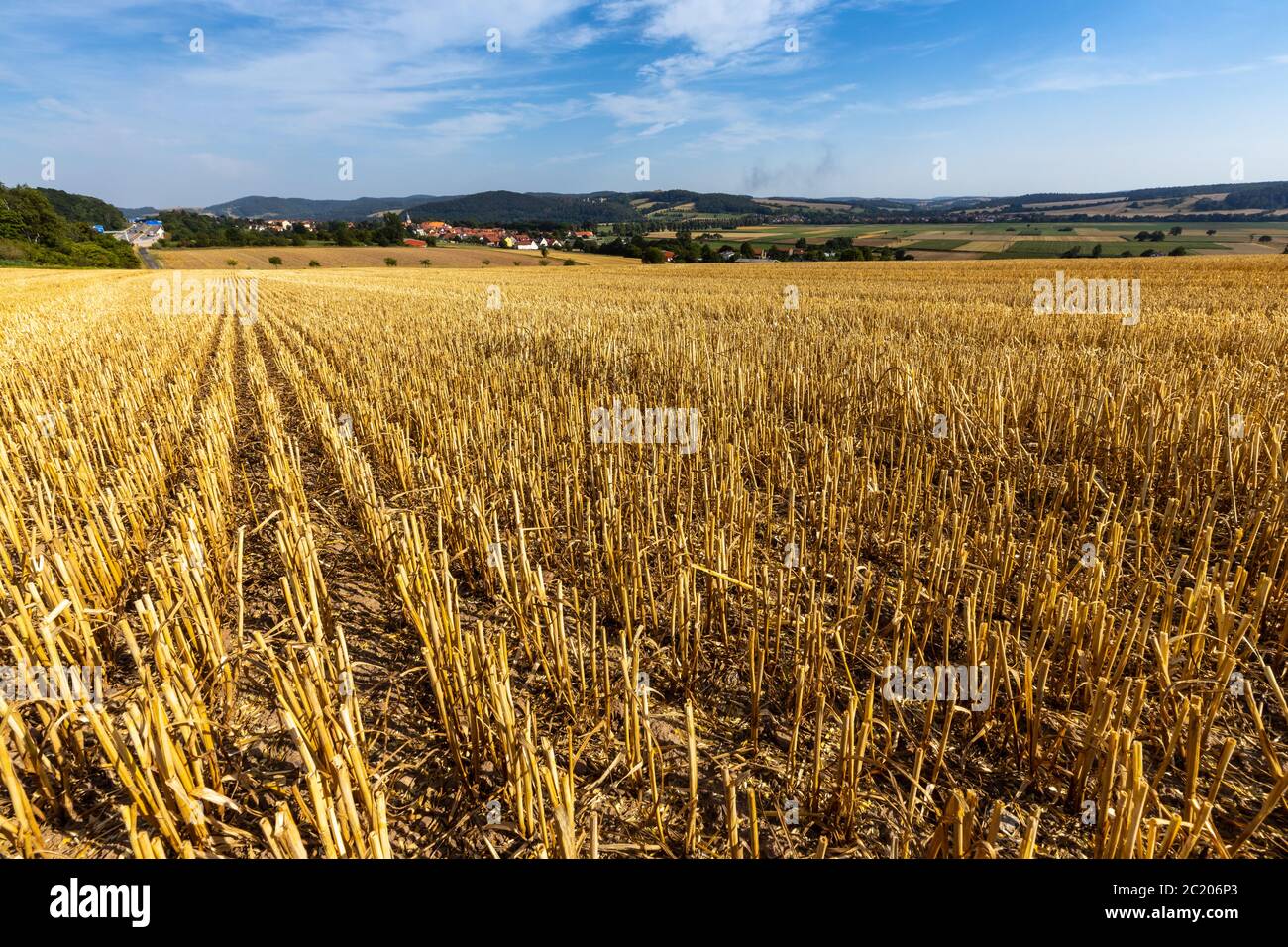 Grain fields after the harvest at Herleshausen in Germany Stock Photo ...