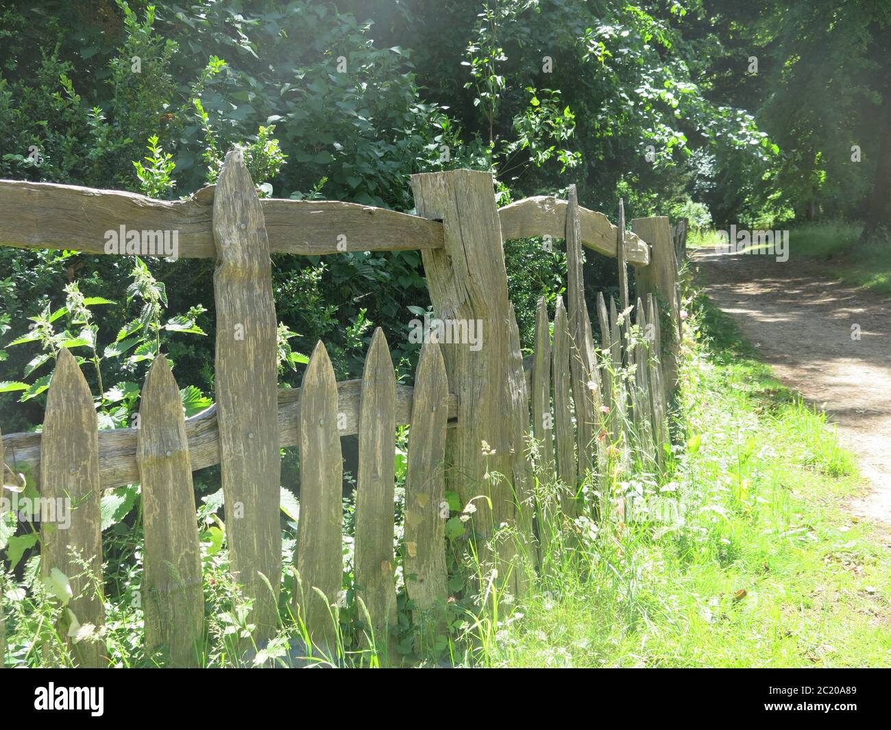A rustic wooden picket fence edges on the edge of a grassy pathway ...