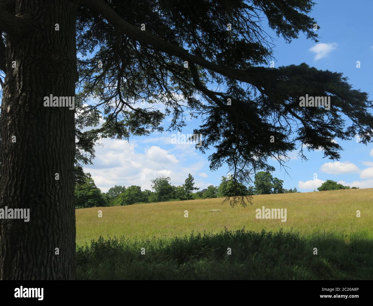 Framed by overhanging foliage hi-res stock photography and images - Alamy