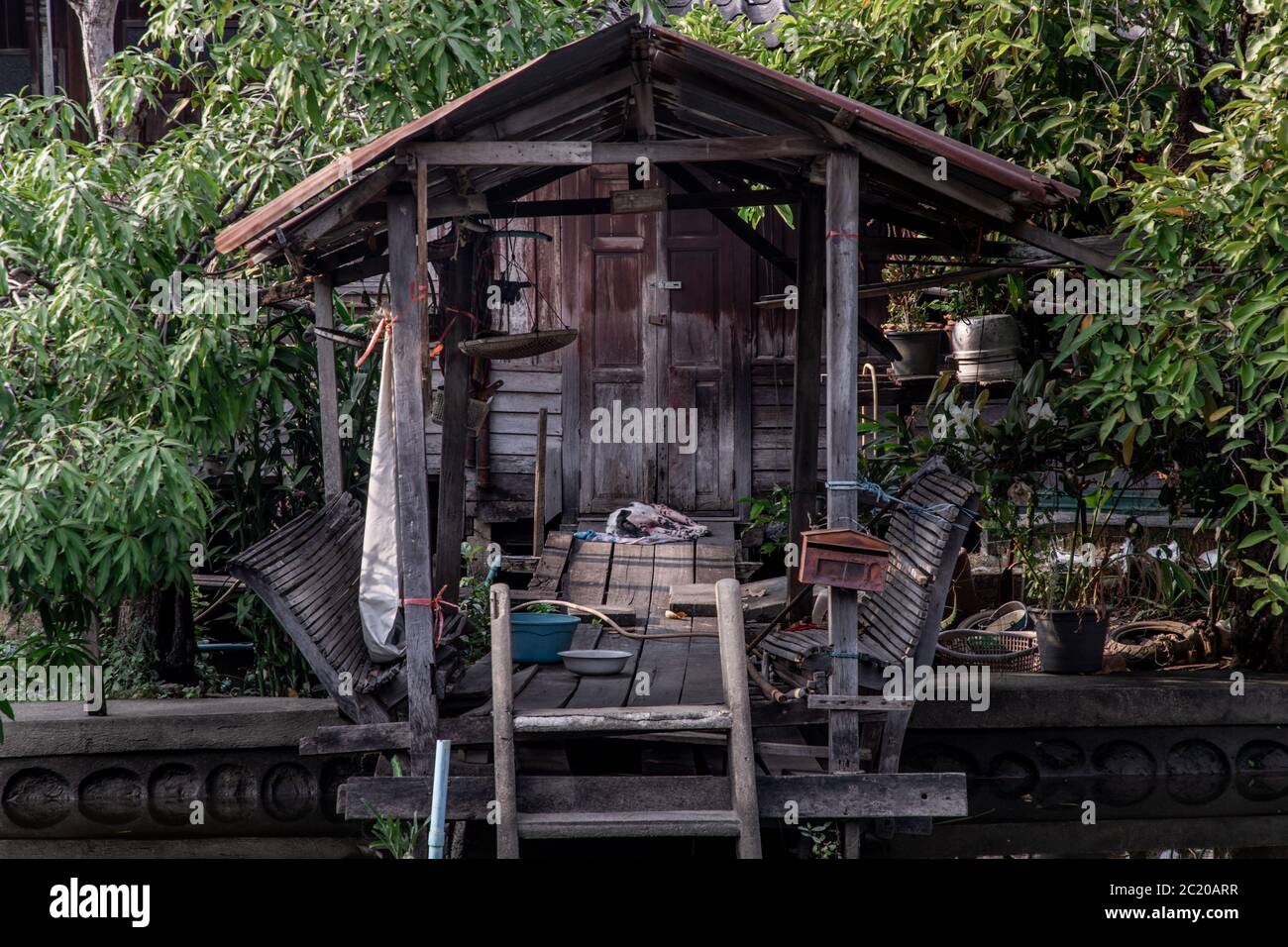 Old wooden house at alongside of canal and there is a large tree ...
