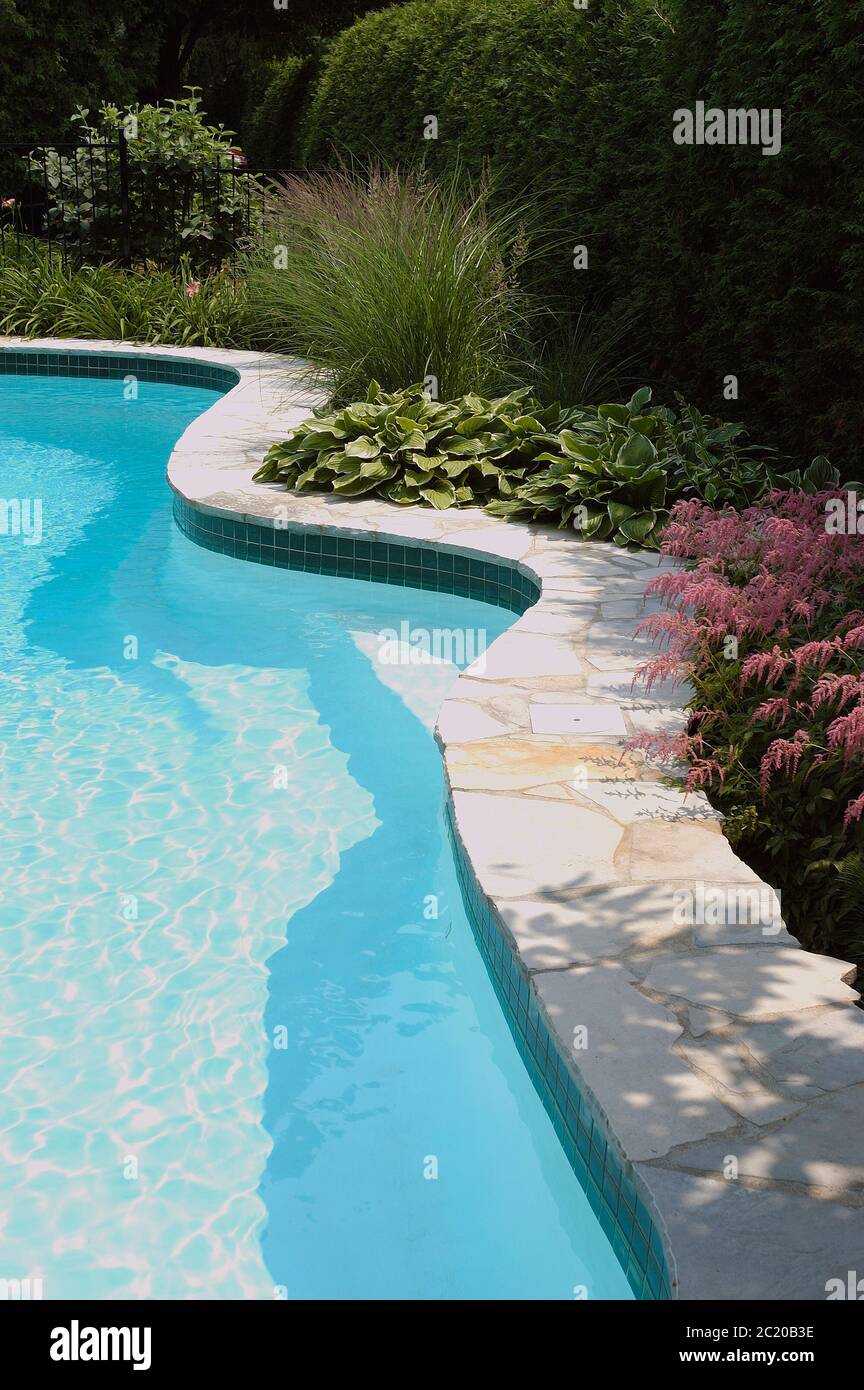 Curved line of a beautifully landscaped pool Stock Photo - Alamy