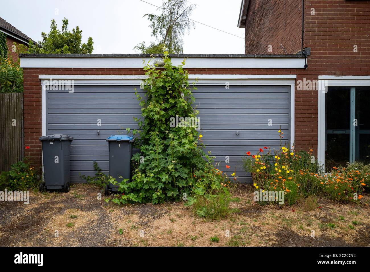 Overgrown driveway hi-res stock photography and images - Alamy