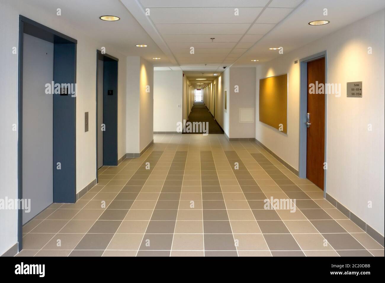 Elevator lobby and hall in a University Residence Stock Photo - Alamy