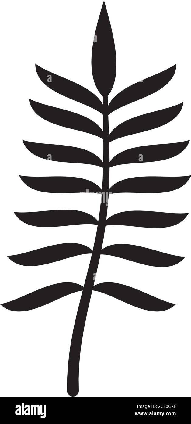 rowan leaf icon over white background, silhouette style, vector ...